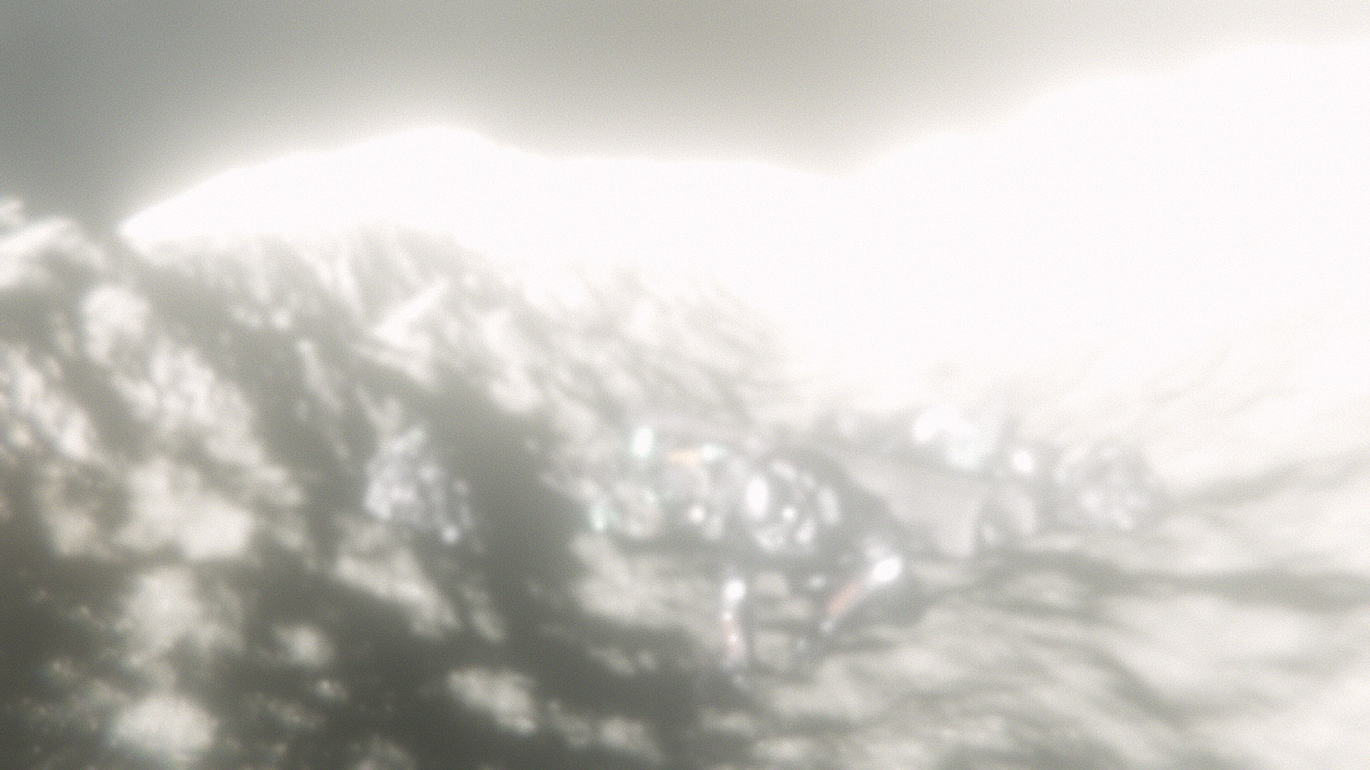 Abstract Horror - VUCAVU