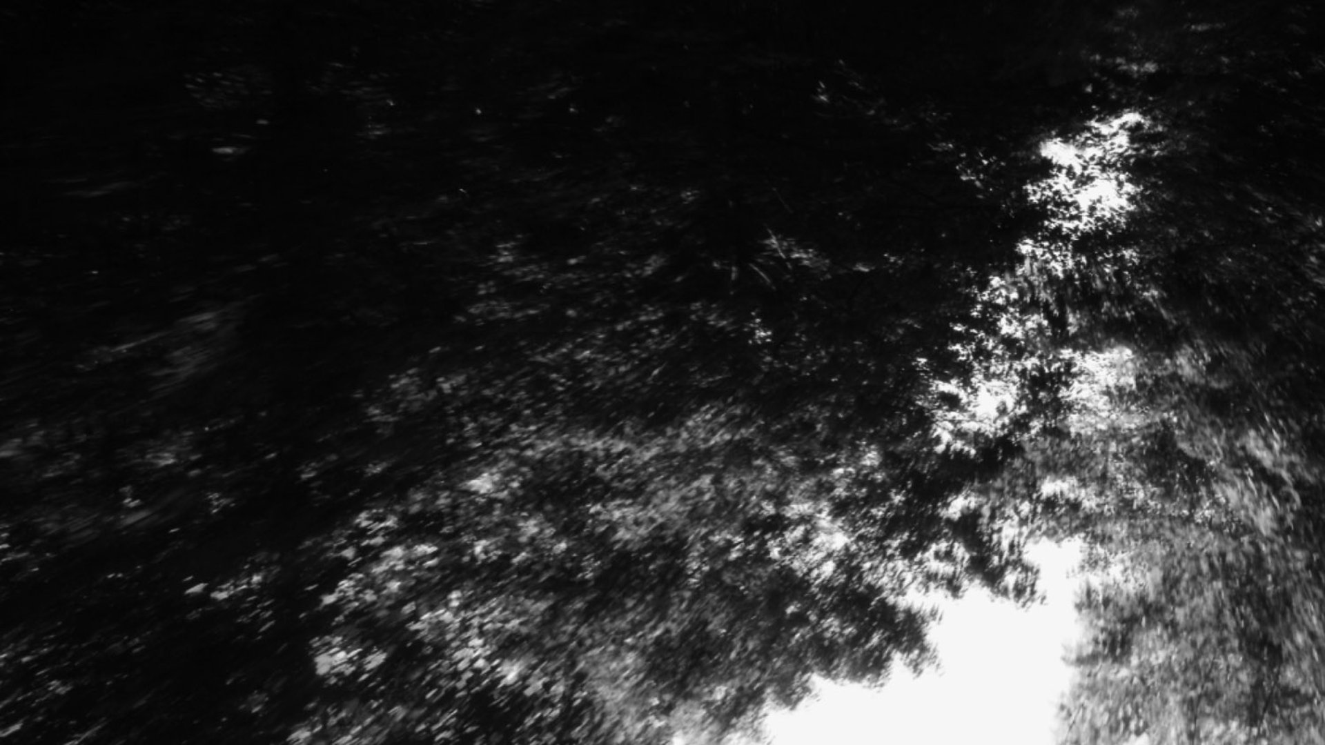 Parallèle Nord (Parallel North) - VUCAVU