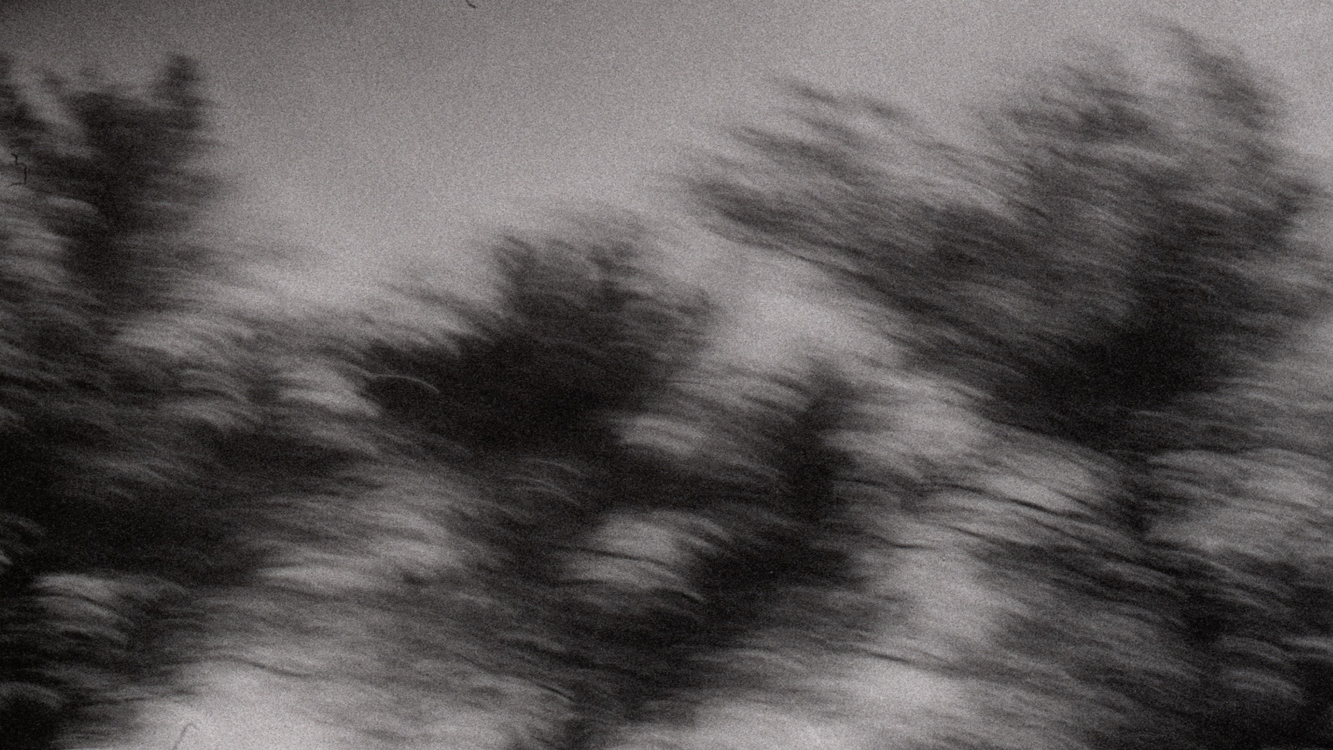 Wherefrom the Shadows That Are Forms Fall - VUCAVU