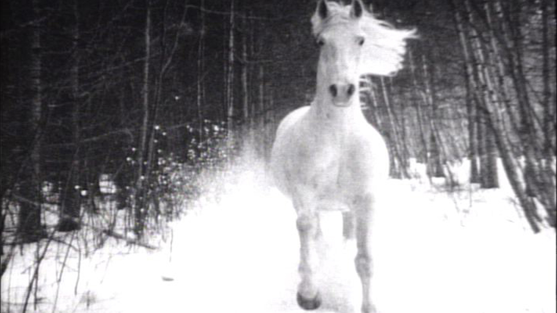 Cold Rust ( La neige rouillée ) - VUCAVU