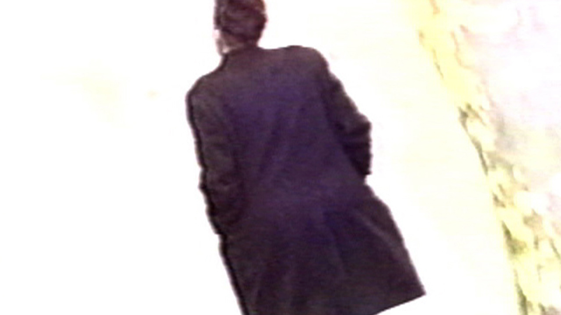 Aberrant Motion # 4 (Face Story, Stagger Stories) - VUCAVU